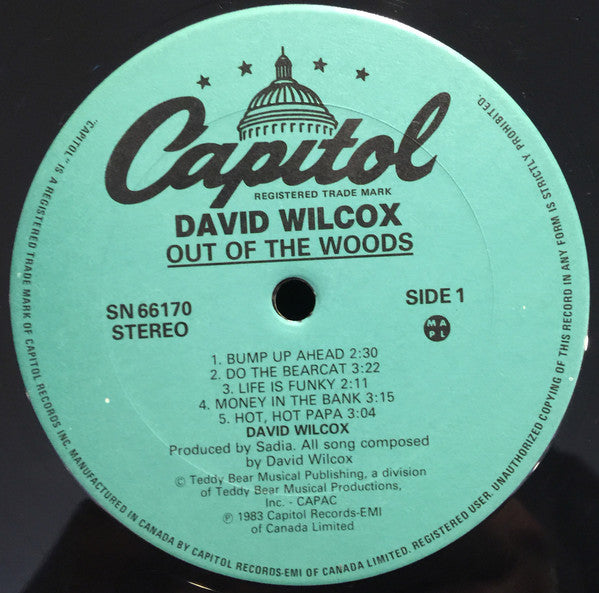 Buy David Wilcox (2) : Out Of The Woods (LP, Album, RE) Online for a ...